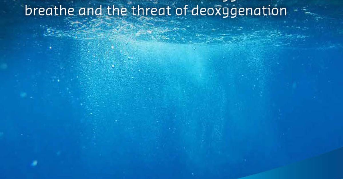 Ocean oxygen: The role of the Ocean in the oxygen we breathe and the ...